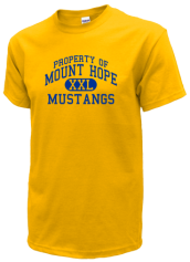 Mount Hope High School Mustangs Alumni - Mount Hope, West Virginia